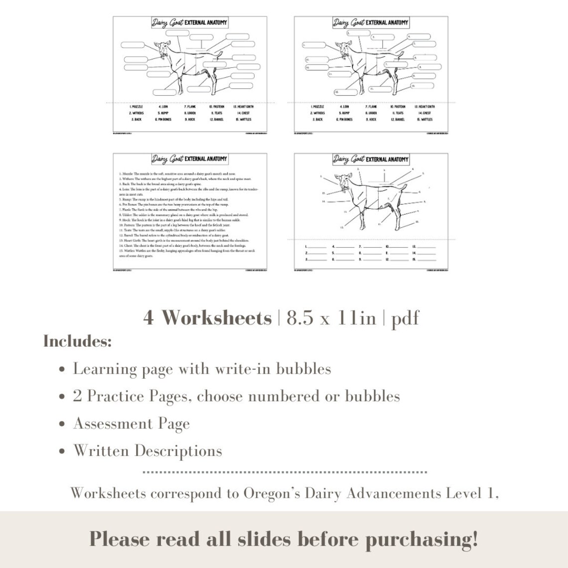 PRINTABLE Dairy Goat External Anatomy - Level 1 - Etsy