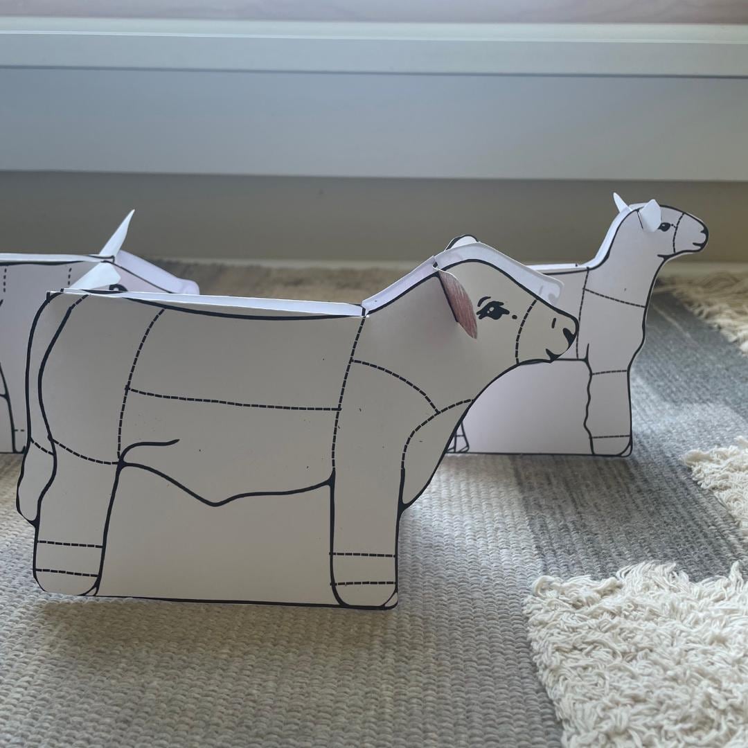 PRINTABLE Livestock Learning Paper Cut-outs - Steer, Sheep, Pig - Etsy