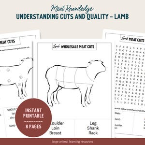 PRINTABLE Lamb Meat Cuts and Quality - Learning About Sheep - Etsy