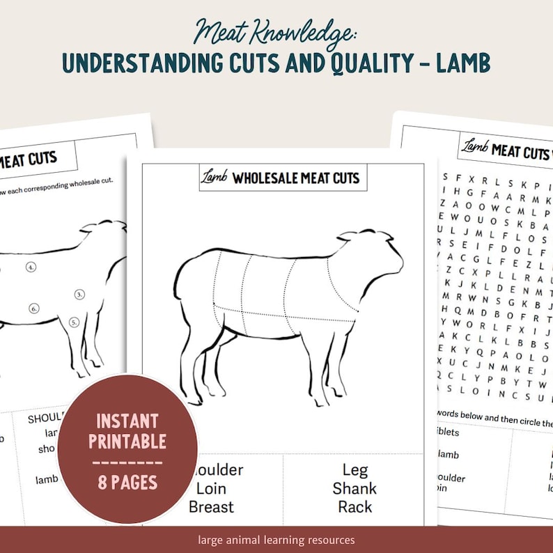 PRINTABLE Lamb Meat Cuts and Quality - Learning About Sheep - Etsy