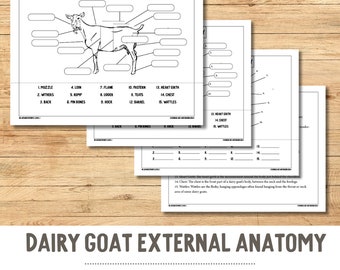PRINTABLE Goat External Anatomy Worksheet - Etsy