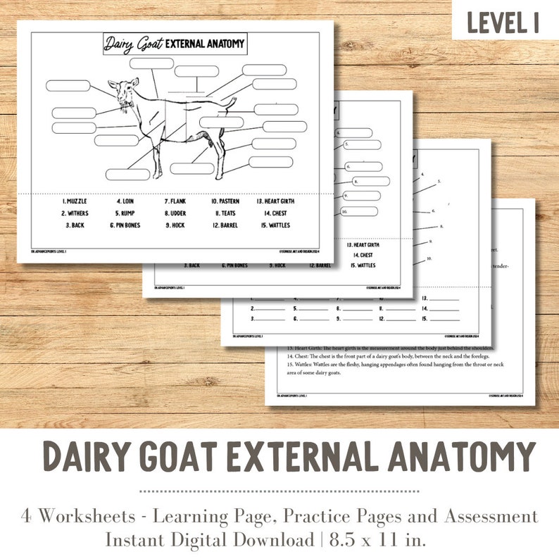 PRINTABLE Dairy Goat External Anatomy - Level 1 - Etsy