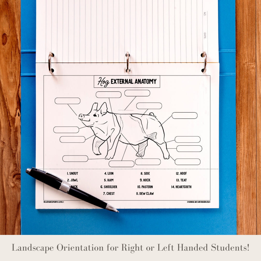 PRINTABLE Hog External Anatomy - Level 1 - Etsy