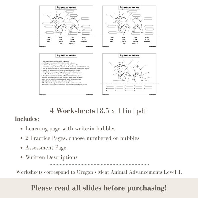 PRINTABLE Hog External Anatomy - Level 1 - Etsy