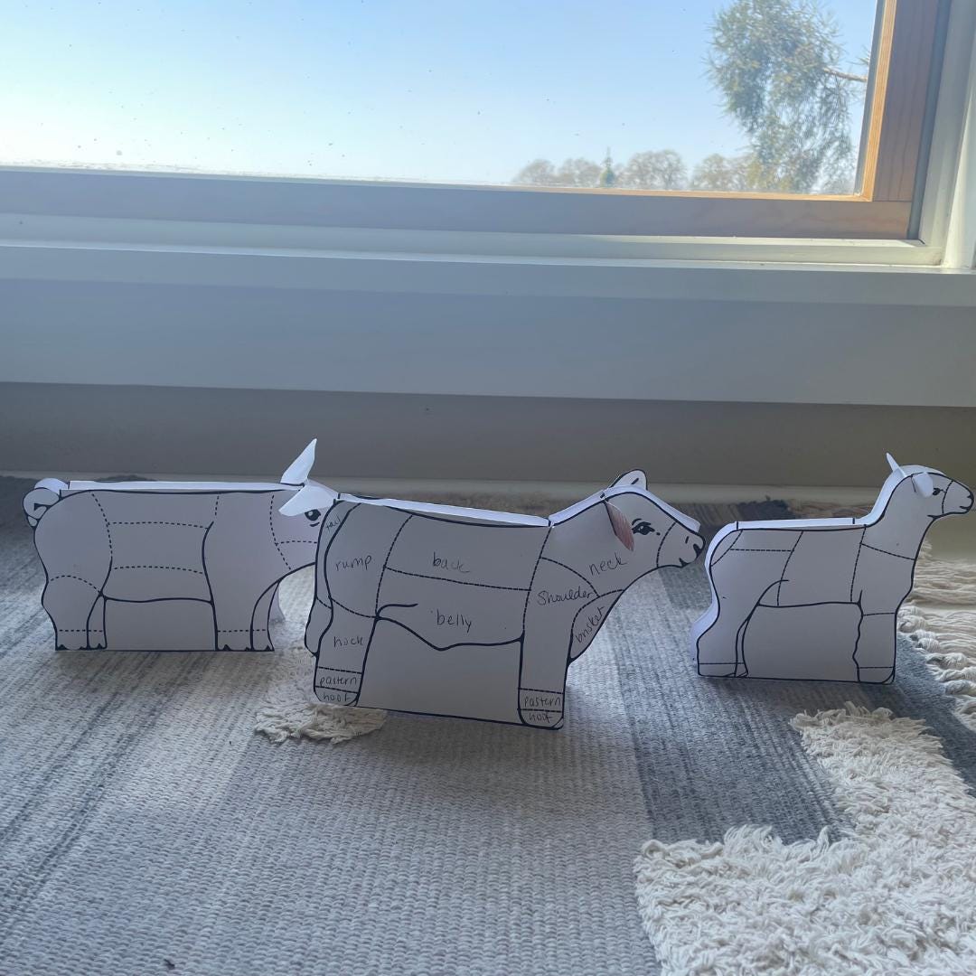 PRINTABLE Livestock Learning Paper Cut-outs - Steer, Sheep, Pig - Etsy