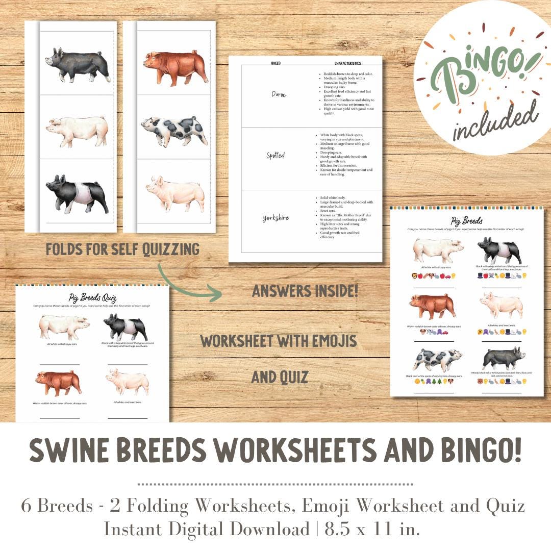 PRINTABLE Swine Breed Learning Worksheets and BINGO! - Etsy