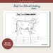 PRINTABLE Beef Cow External Anatomy - Level 1 - Etsy