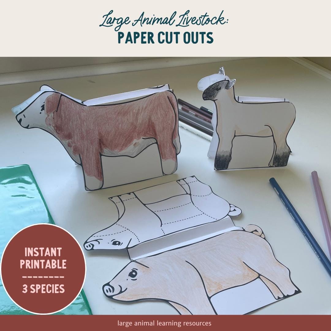 PRINTABLE Livestock Learning Paper Cut-outs - Steer, Sheep, Pig - Etsy
