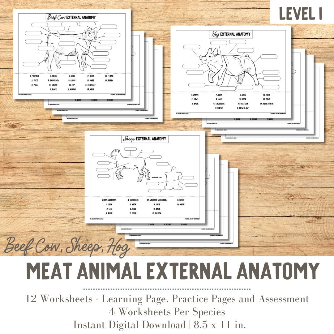 PRINTABLE Meat Animal External Anatomy Bundle Hog, Beef Cow, Sheep ...