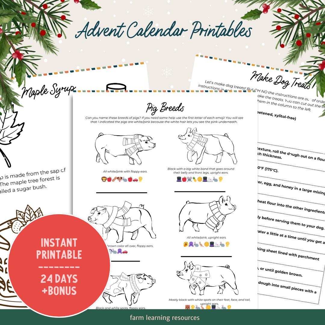 Advent Calendar Printables - Full Set - Etsy