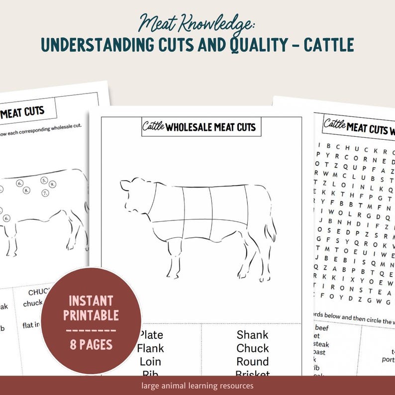 PRINTABLE Cattle Meat Cuts and Quality - Learning About Beef - Etsy ...