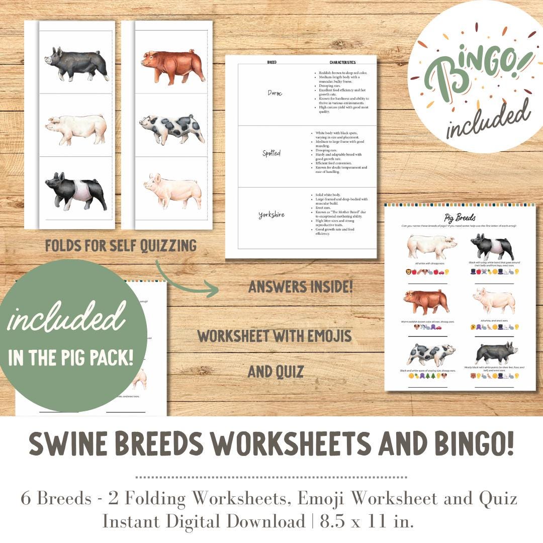 Pig Learning Printable Bundle: Swine Anatomy, Breeds, Bingo (digital ...