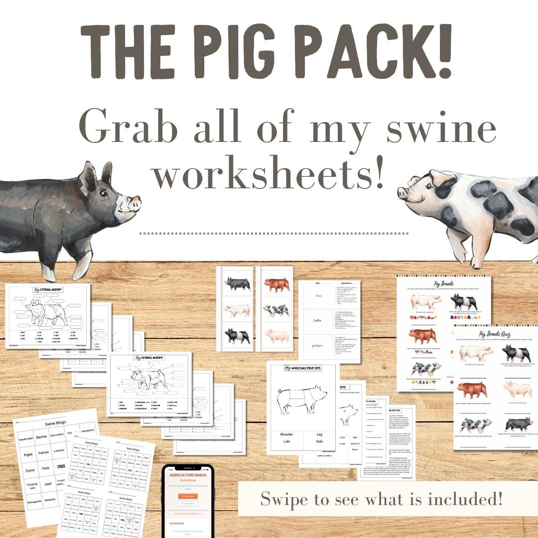 Pig Learning Printable Bundle: Swine Anatomy, Breeds, Bingo (digital ...