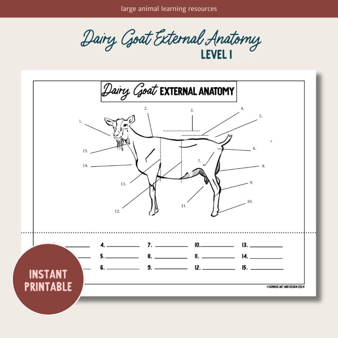 PRINTABLE Dairy Goat External Anatomy - Level 1 - Etsy UK
