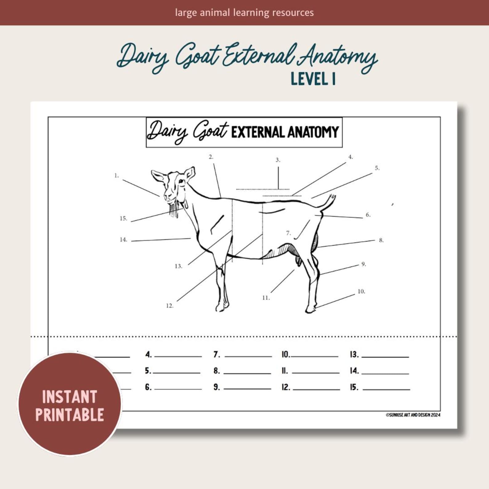 PRINTABLE Dairy Goat External Anatomy - Level 1 - Etsy