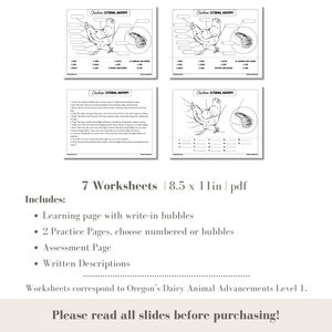 PRINTABLE Chicken External Anatomy Bundle Broiler/layer - Level 1 - Etsy