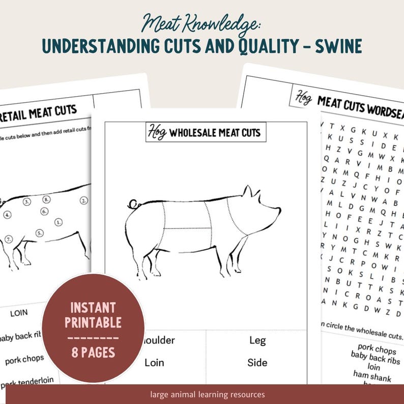 PRINTABLE Hog Meat Cuts and Quality - Learning About Pork - Etsy