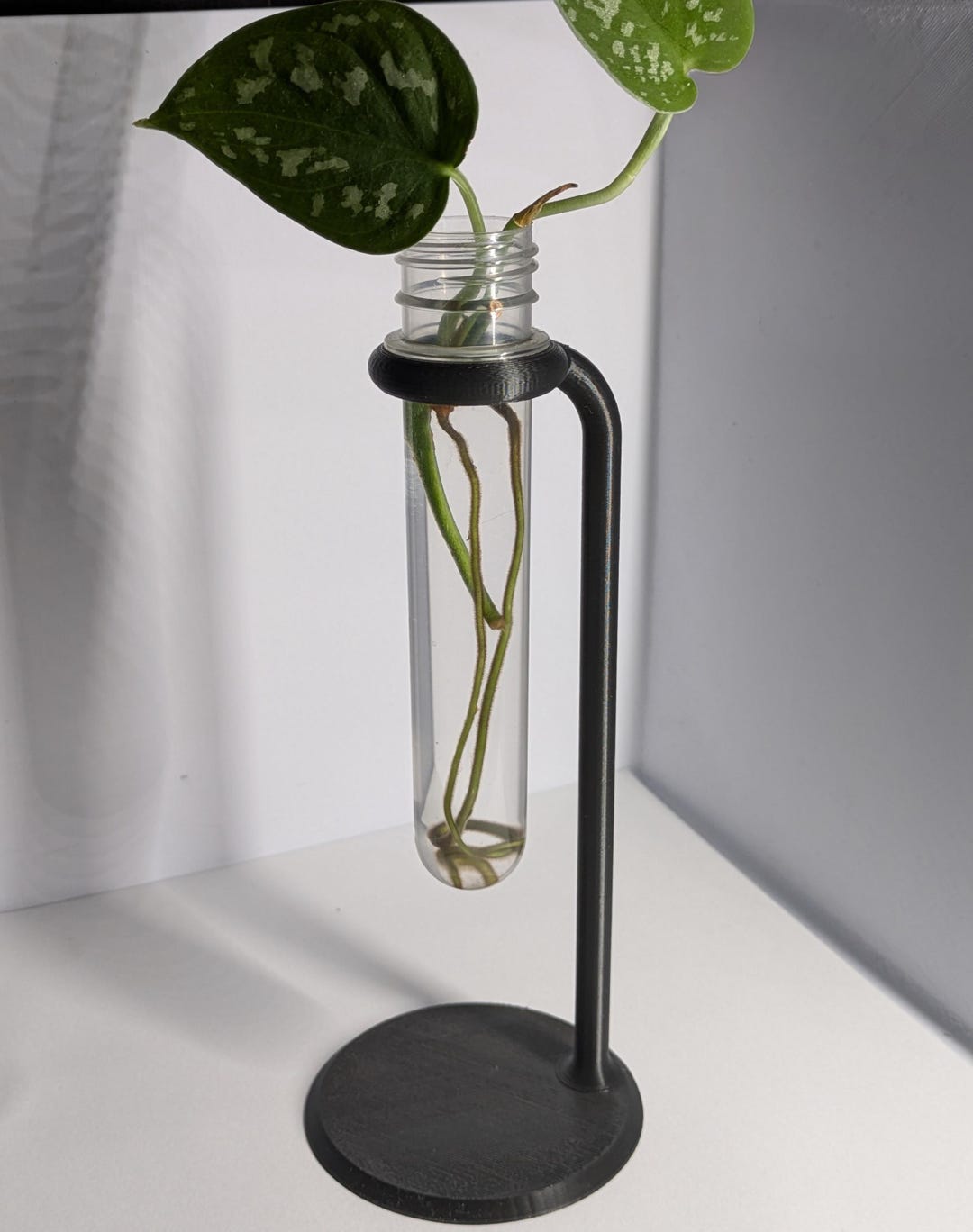 Propagation Stand for Cuttings & Rare Plants - Etsy