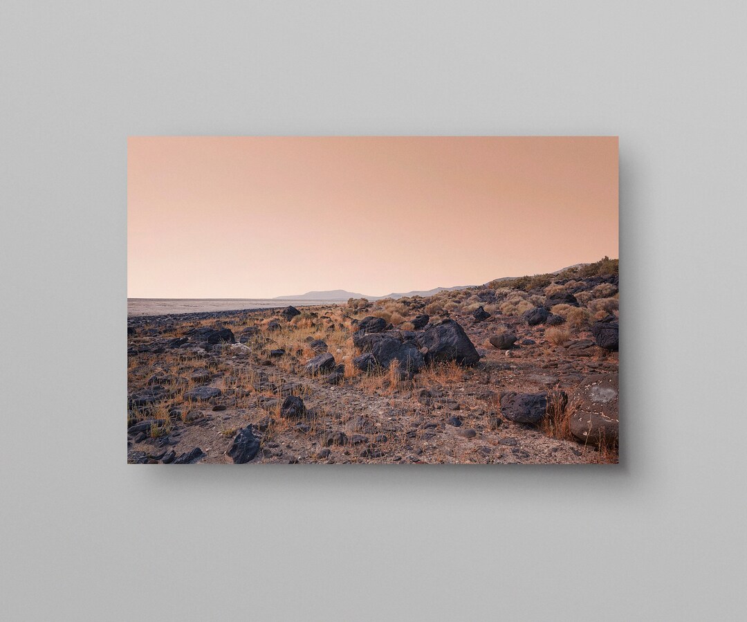 Desert Debris - Digital Download, Landscape Photograph, Southwest ...