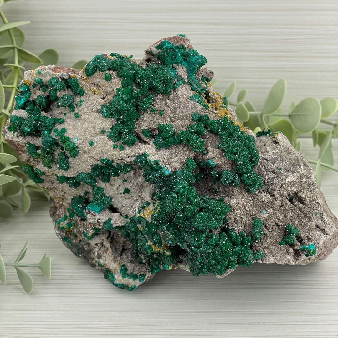 Dioptase Cluster Crystal Specimen on Matrix (congo). Rocks, Geodes ...