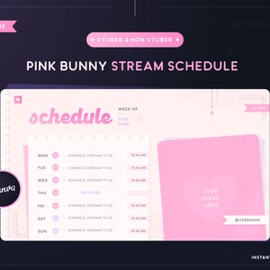 Y2K Pink Bunny Stream Schedule Template | Notebook | Streamer | Vtuber ...