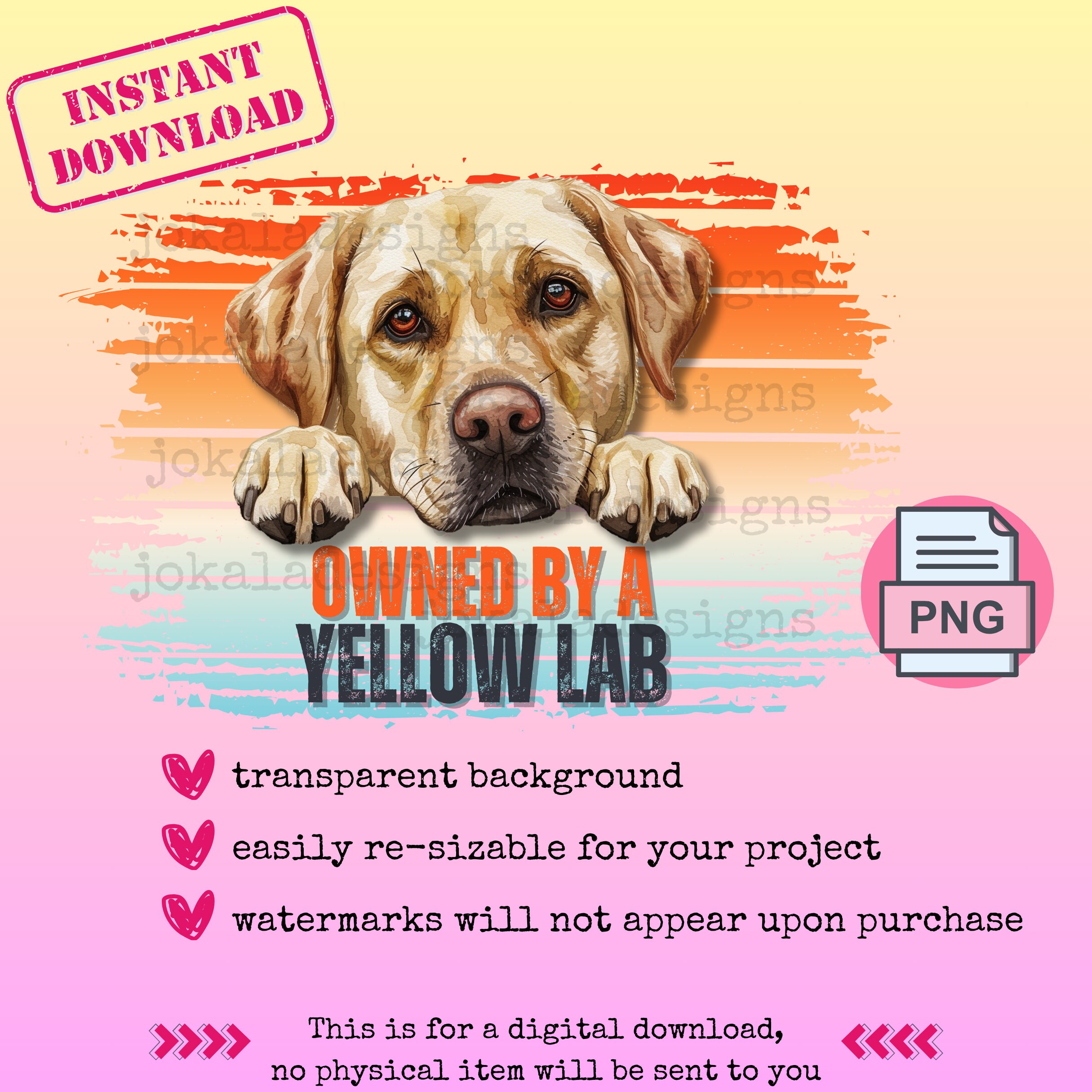 Yellow Lab PNG, Yellow Lab Owner, Labrador, Tshirt Design PNG, Dog ...