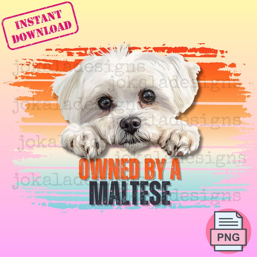 Maltese Dog PNG, Maltese Owner, Tshirt Design, Dog Digital Art Download ...