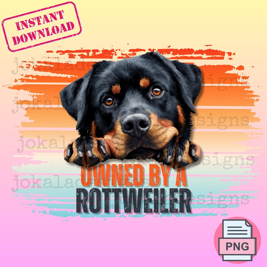 Rottweiler PNG, Rottweiler Owner, Tshirt Design, Dog Digital Art ...