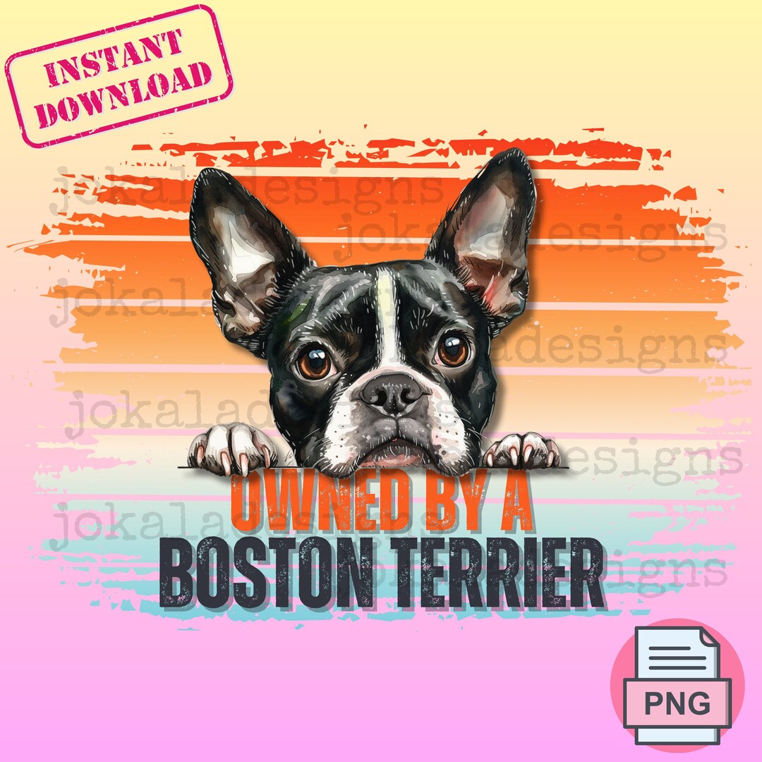 Boston Terrier PNG, Boston Owner, Tshirt Design, Dog Digital Art ...