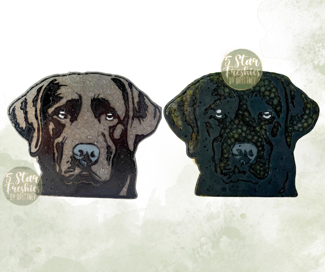 Lab Car Freshie - Etsy