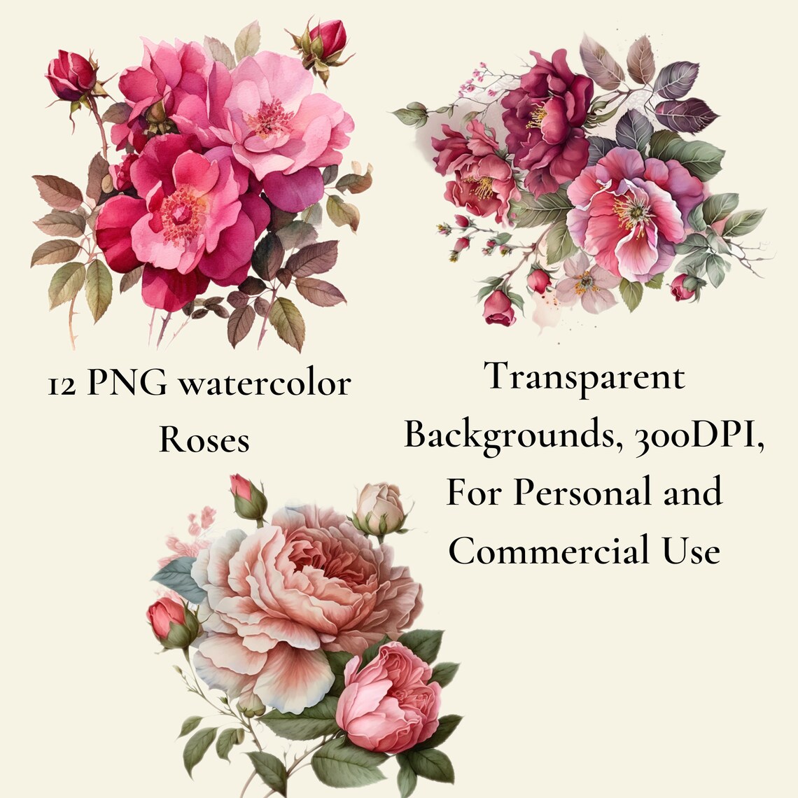 12 Watercolor Roses Clipart Bundle Floral Clipart Roses - Etsy