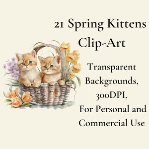 Watercolor Floral Cats Clipart Bundle, Watercolor Clipart Kittens ...
