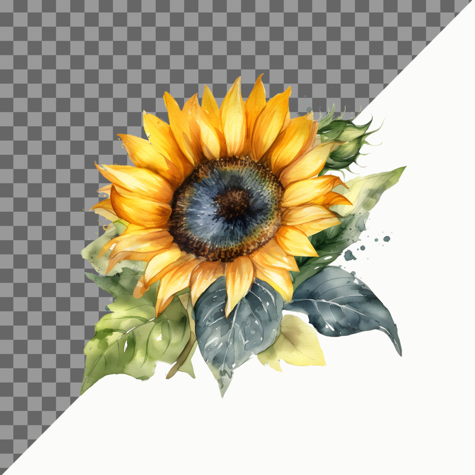 10 Watercolor Sunflowers Clipart, Floral Clipart, Sunflower Clipart ...