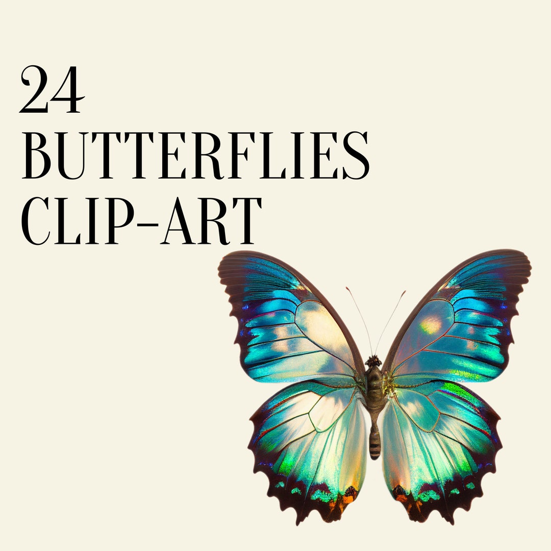 24 Butterflies Digital Art, Best Colorful Butterfly Clipart Bundle ...