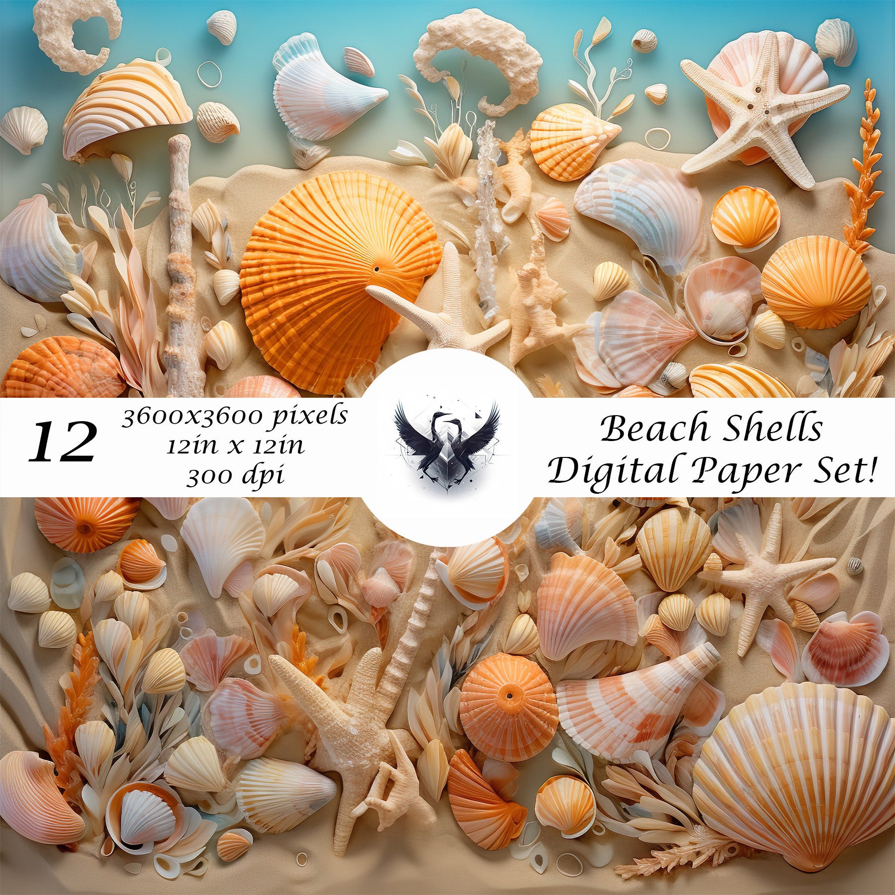 Beach Shells Digital Paper Set - Etsy