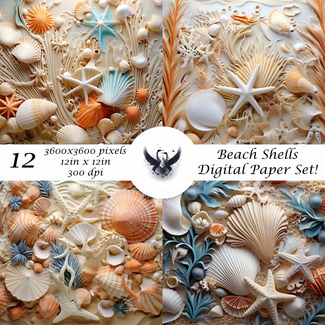Beach Shells Digital Paper Set - Etsy