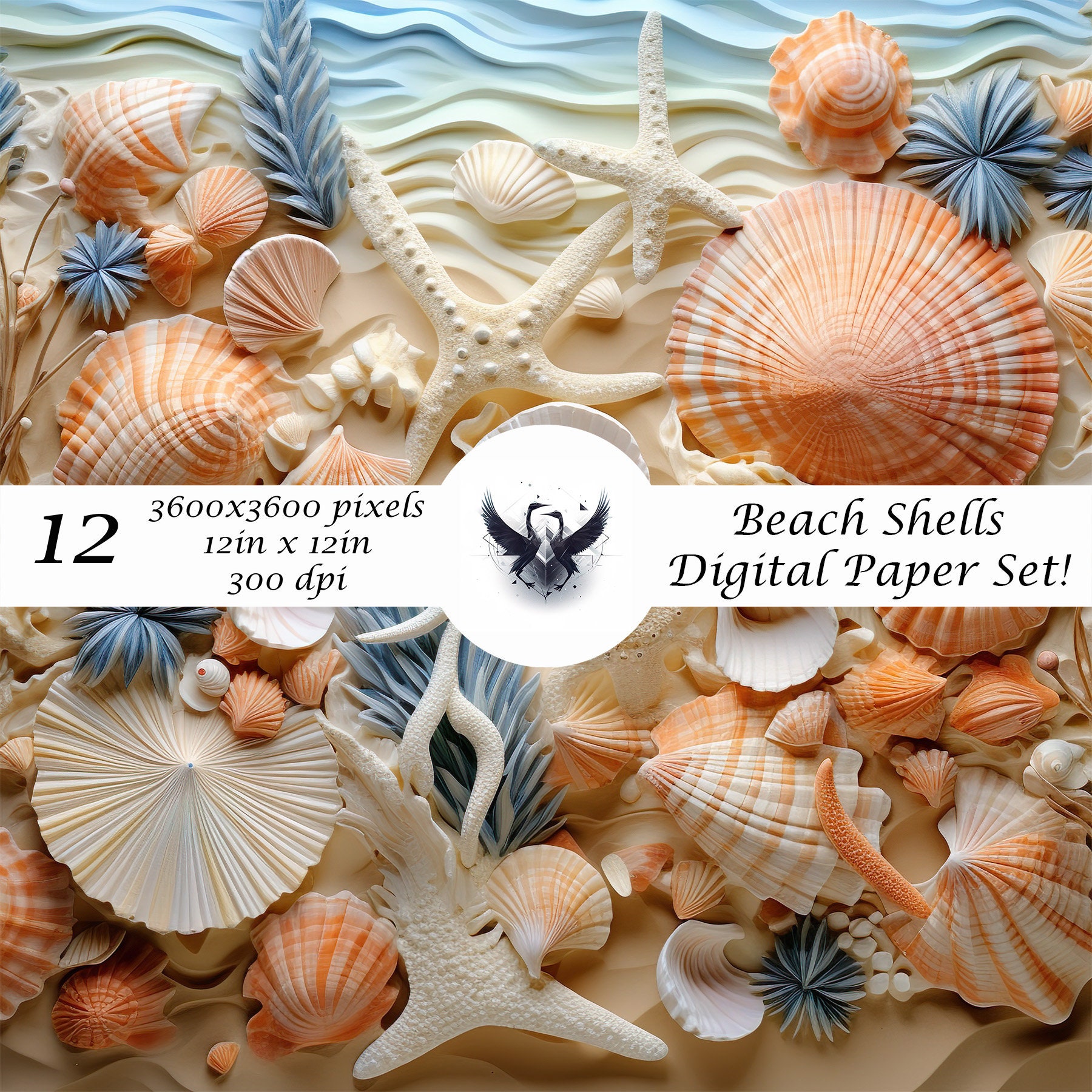 Beach Shells Digital Paper Set - Etsy