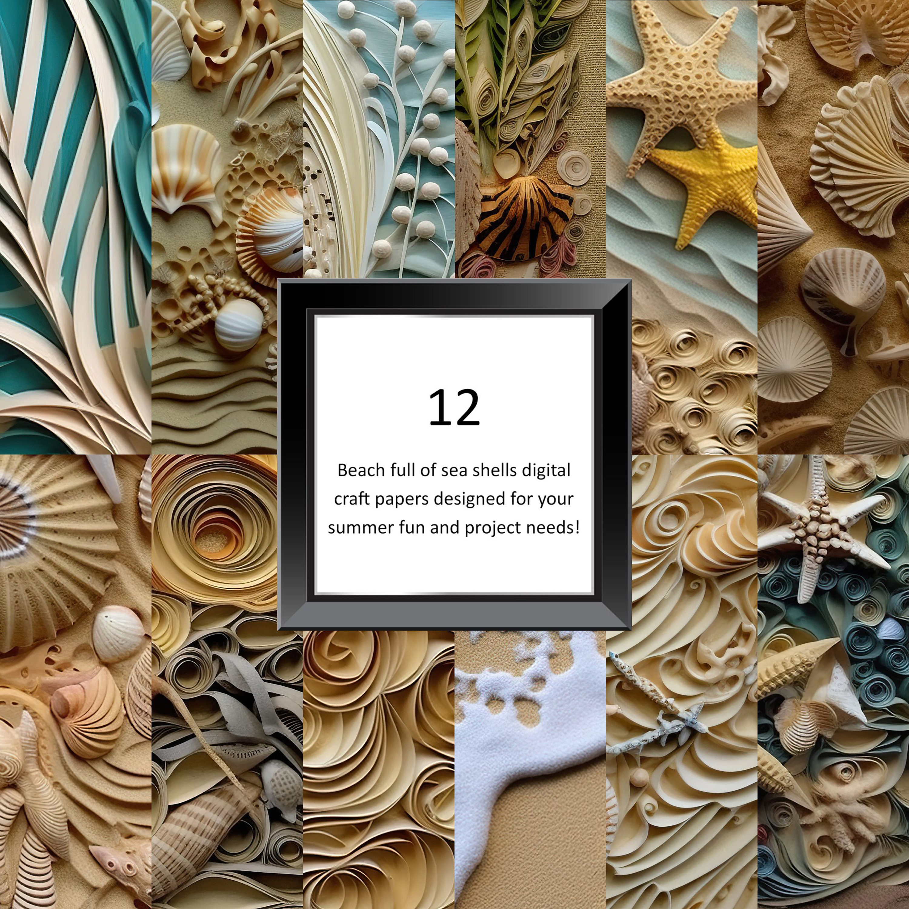Seashell Splendor: 12 Coastal Delights Dive Into a Digital Treasure ...