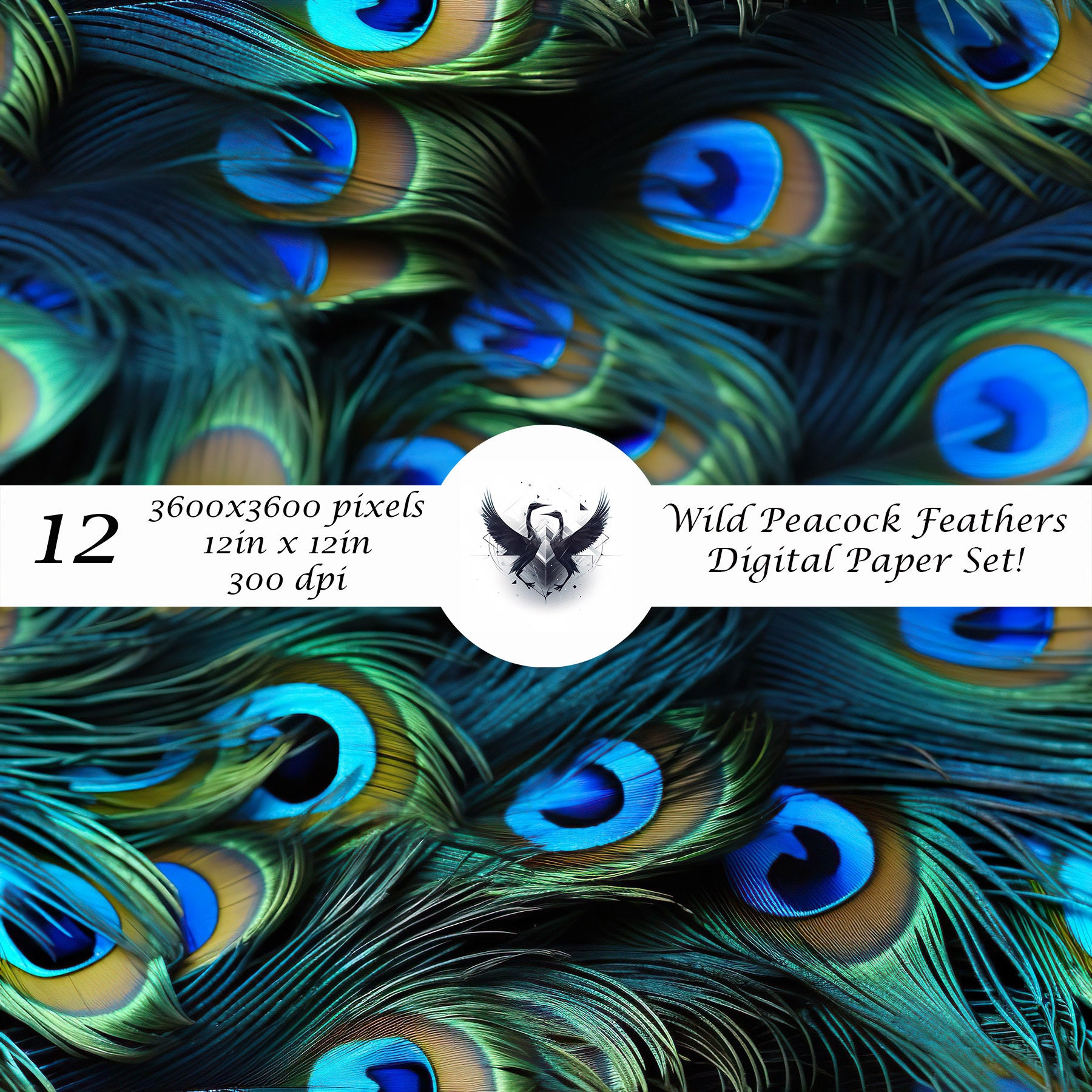 Peacock Feathers Digital Paper Set - Etsy