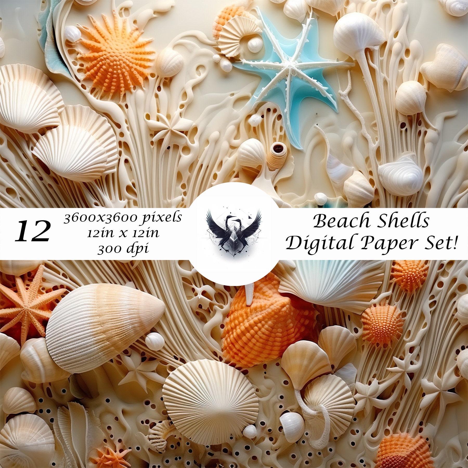 Beach Shells Digital Paper Set - Etsy