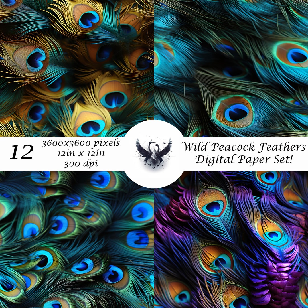 Peacock Feathers Digital Paper Set - Etsy