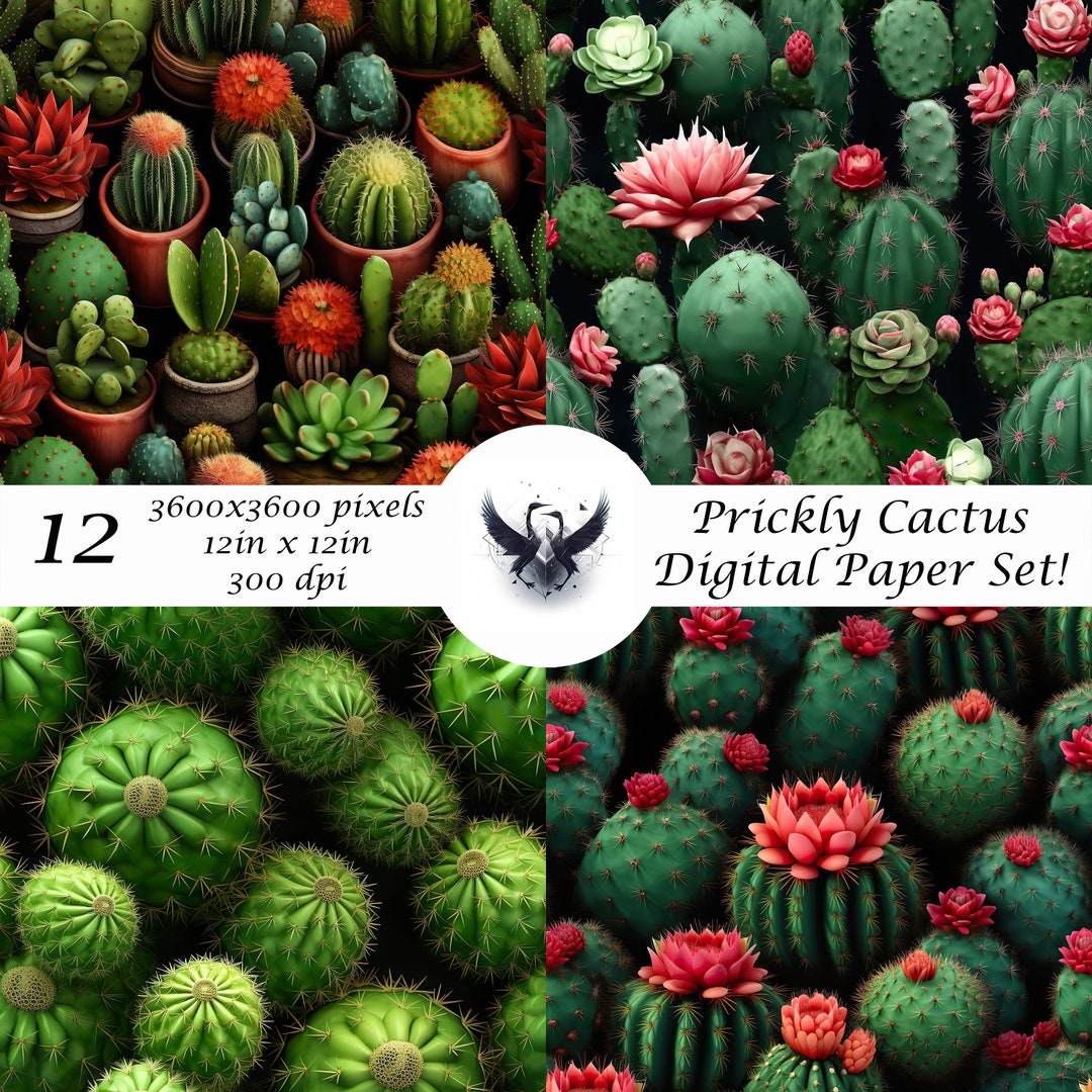 Prickly Cactus Digital Paper Set - Etsy