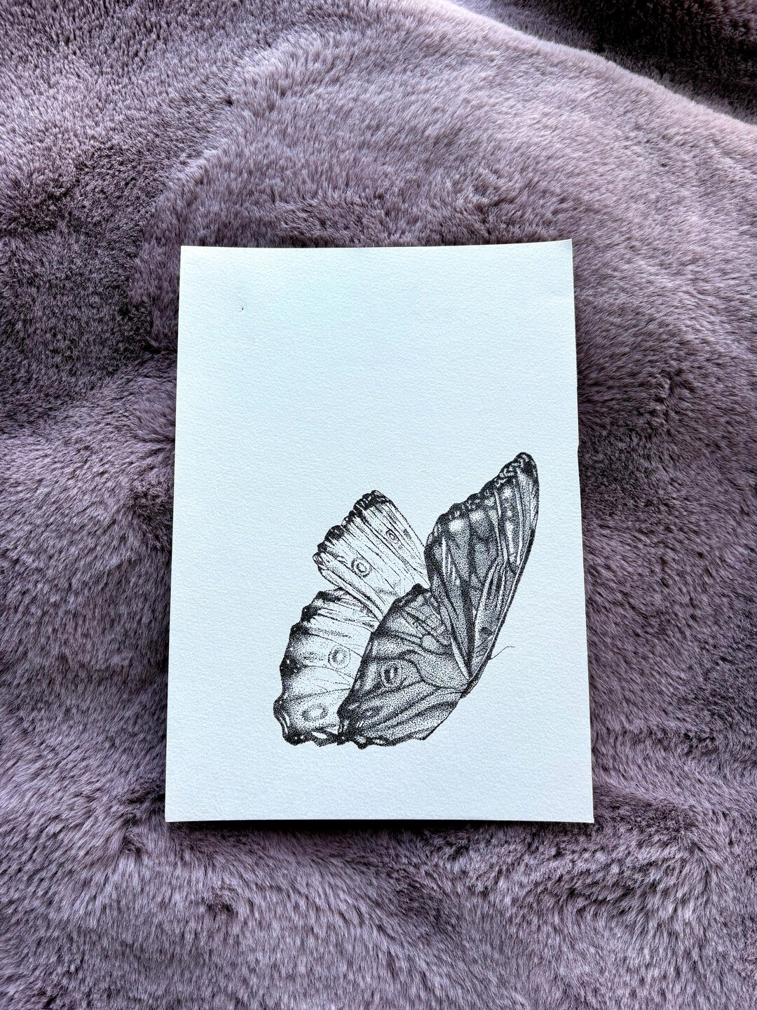 003 – Spotted Pattern | Original Pointillism Butterfly Drawing | 7x10 ...