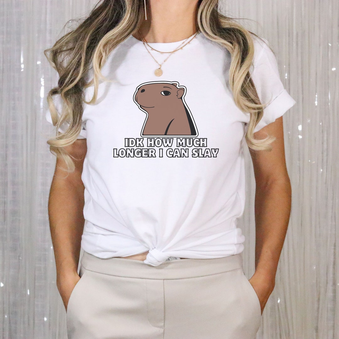 IDK How Much Longer I Can Slay Capybara T-shirt, Funny Capybara Shirt ...