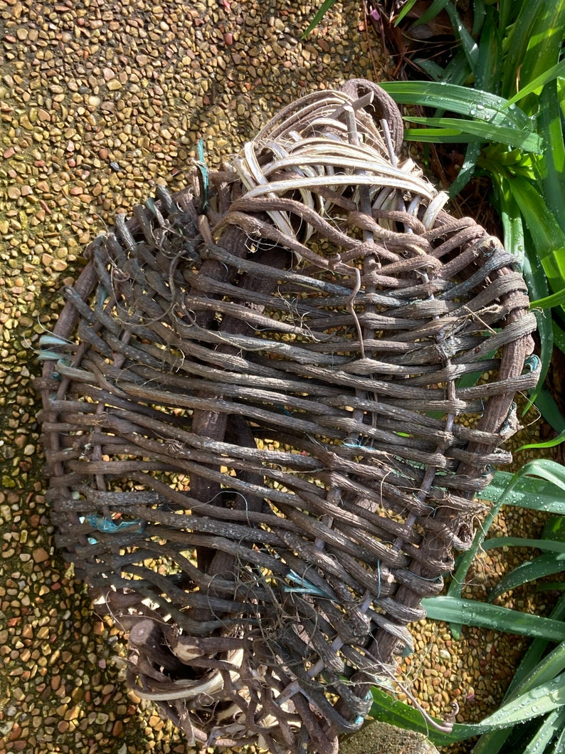 Large Kudzu Egg Basket - Etsy