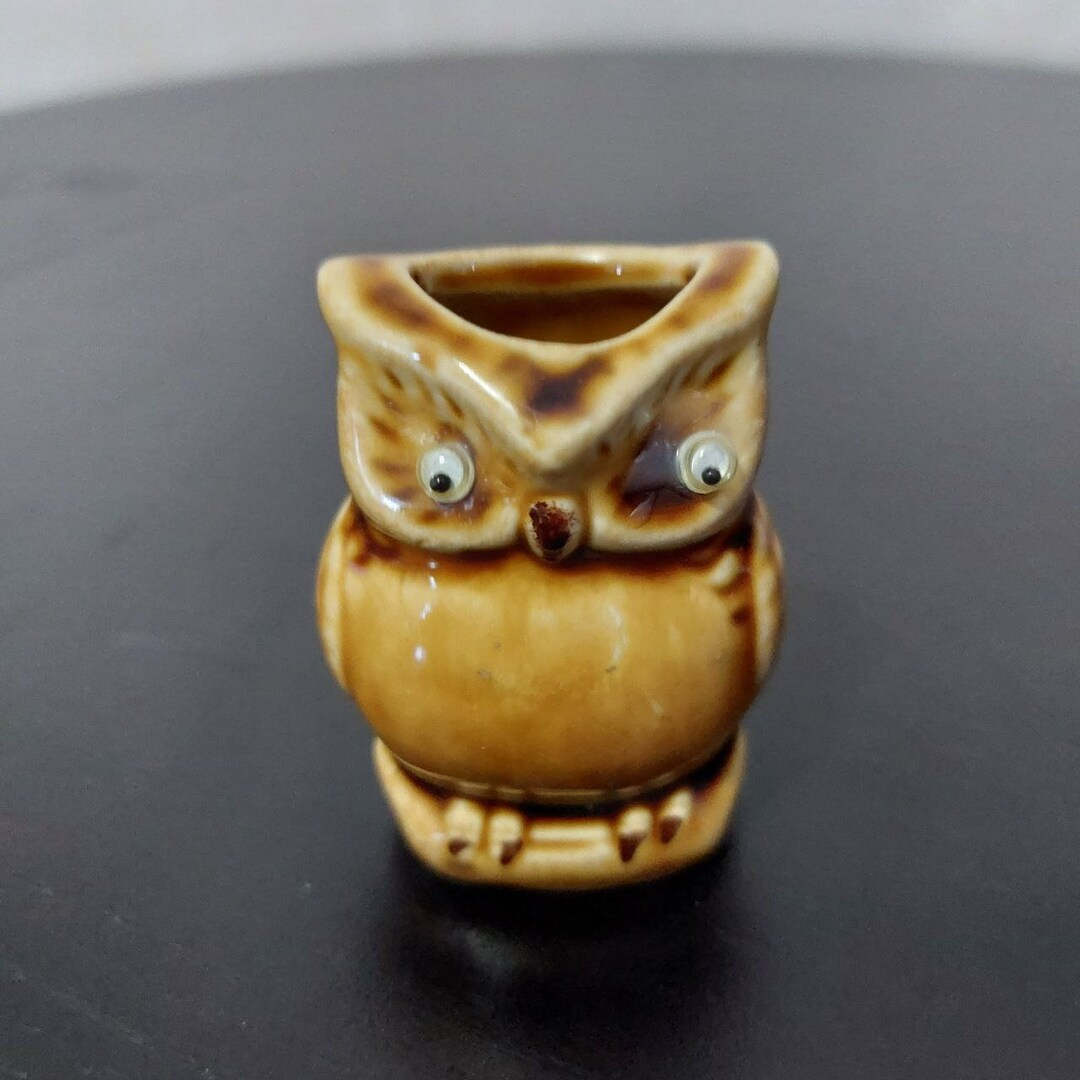 Vintage Owl Googly Eyes Toothpick Holder - Etsy