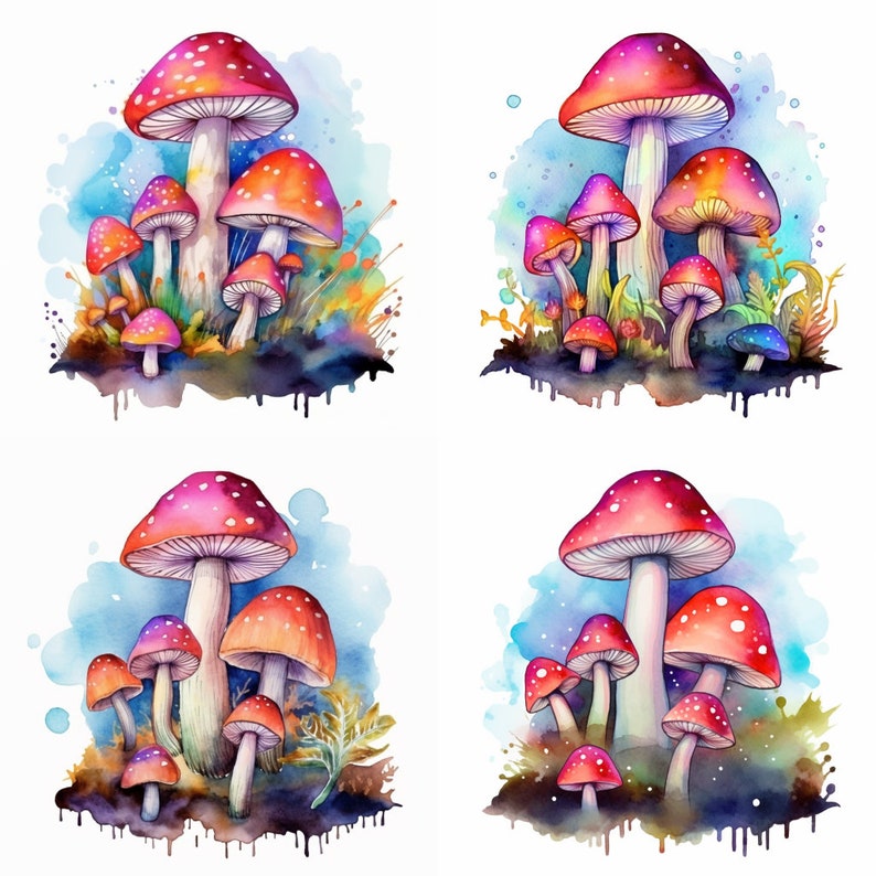 Mushroom Watercolor Clipart PNG | Digital Art - Etsy