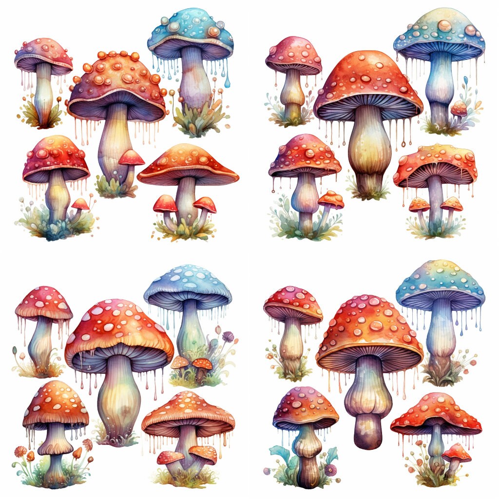 Mushroom Watercolor Clipart PNG Digital Art - Etsy Canada