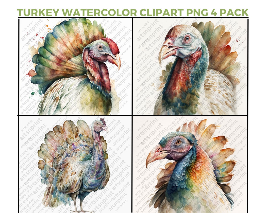 Thanksgiving Watercolor Turkey Clipart PNG 300 Dpi Pack of 4 Colorful ...