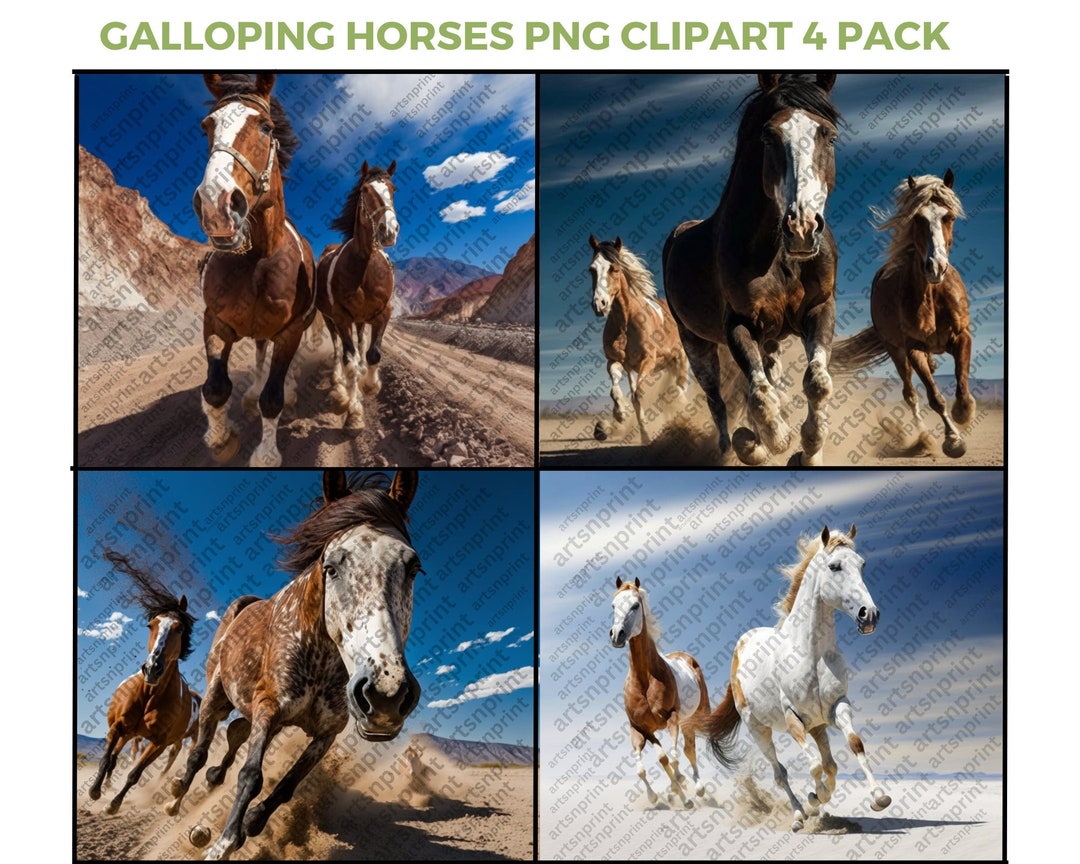 Galloping Horses Clipart PNG 4 Pack 300 Dpi - Etsy